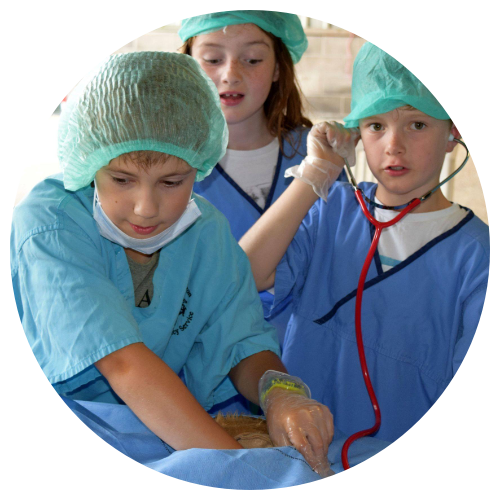 Join the fun! - Young Vets Club