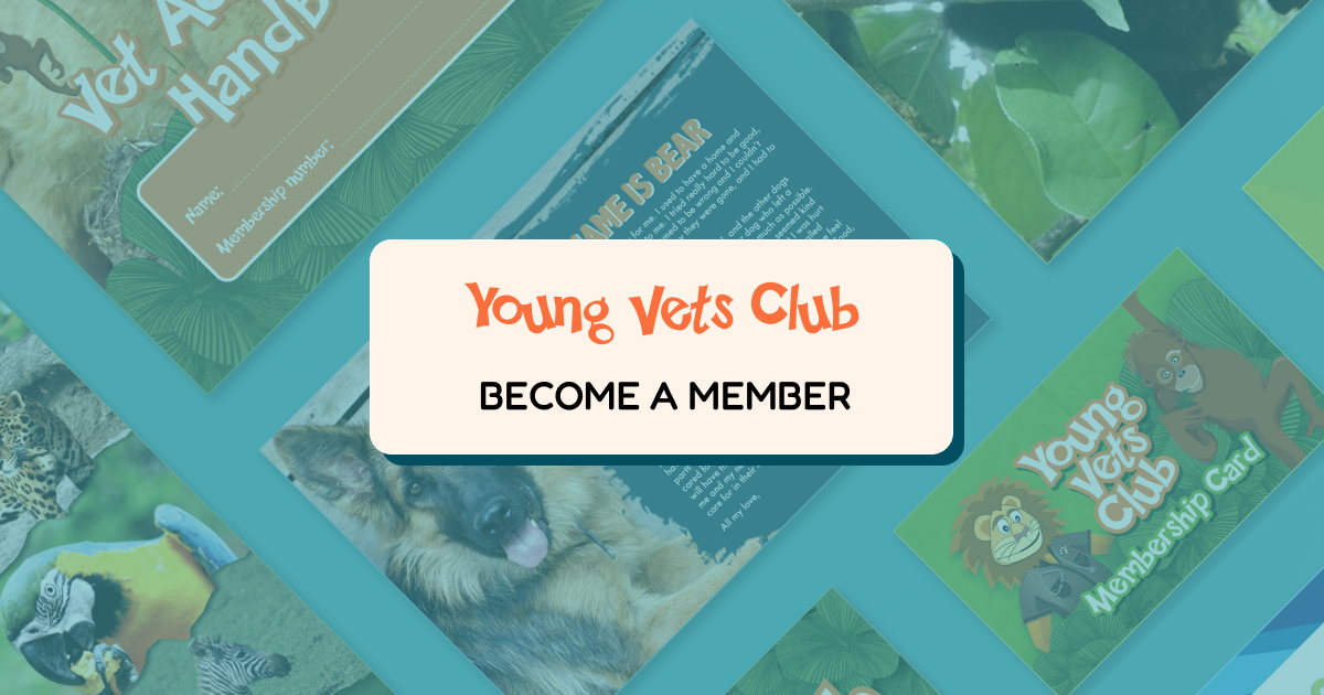 Start the Adventure today with Young Vets Club | A Life-changing Gift