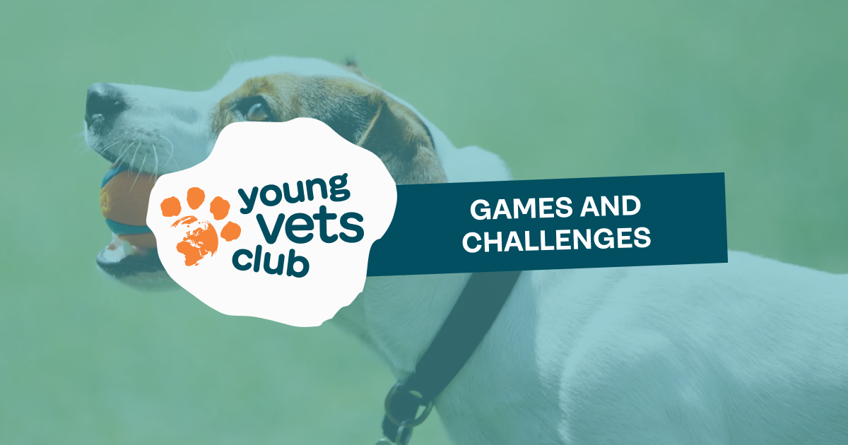 Play Animal Games | Young Vets Club