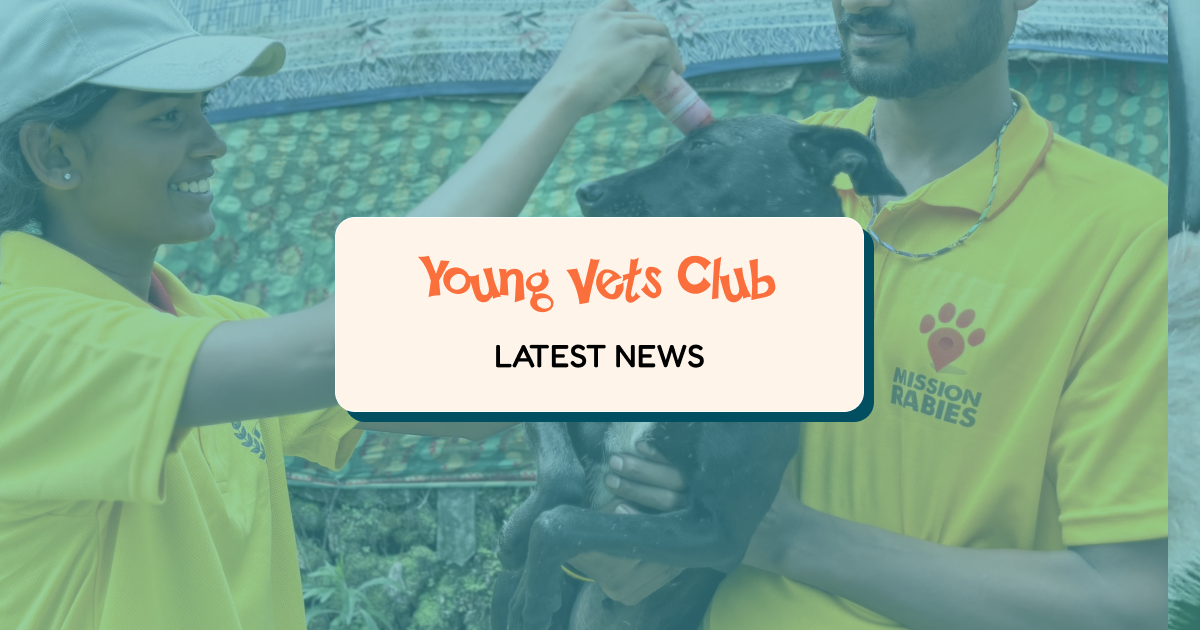 Latest News | Young Vets Club