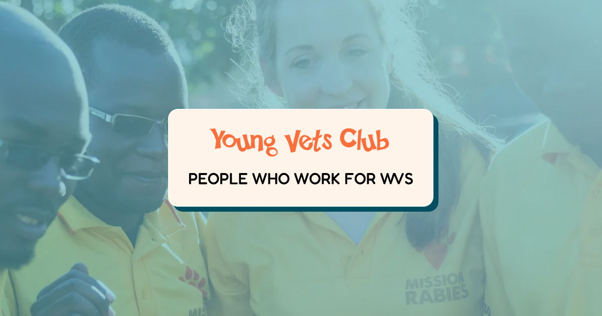 People who work for WVS | Young Vets Club